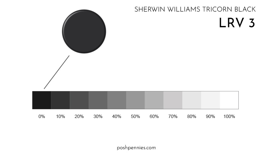Sherwin Williams Tricorn Black: Should You Pick This Paint? - Posh Pennies